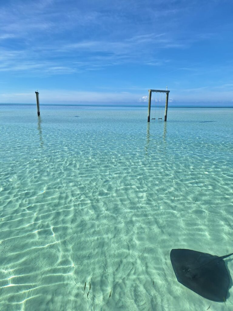 24 Foot Four Winns Bow Rider – Aundre’s Rentals Harbour Island, Bahamas