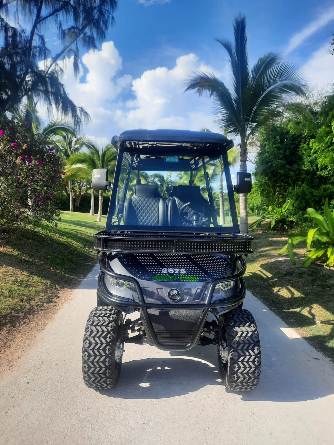 ELECTRIC 6 SEATER GOLF CART HIGH ROLLER – Aundre’s Rentals Harbour ...
