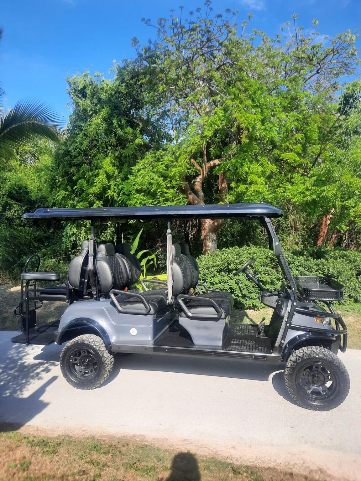 ELECTRIC 6 SEATER GOLF CART HIGH ROLLER – Aundre’s Rentals Harbour ...